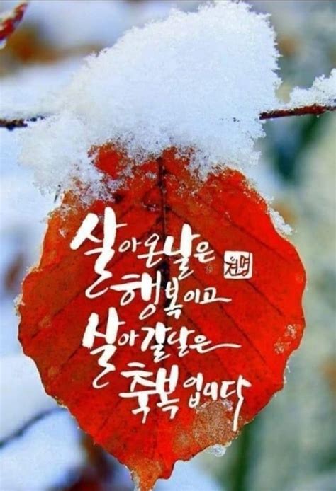 켈리그라피에 있는 김만애님의 핀 크리스마스 카드 고급 꽃 손글씨