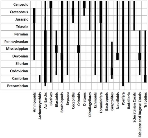 Fossil Correlation Chart