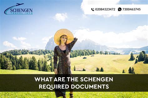 Reapplying For Schengen Visa After Rejection What To Do