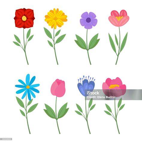 다른 야생 꽃 벡터 일러스트 레이 션은 초원 또는 필드 꽃의 컬렉션을 설정합니다 0명에 대한 스톡 벡터 아트 및 기타 이미지 0명 구도 꽃 나무 Istock