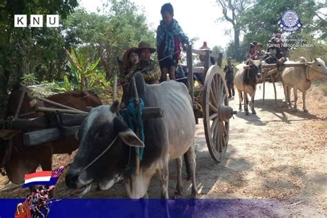 ဆောထိမြို့နယ် ကျေးရွာ ၃ ရွာ လက်နက်ကြီးပစ်ခတ်ခံရလို့ ပြည်သူများ ရွာလုံးကျွတ် တိမ်းရှောင