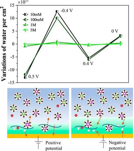 Influence Of Interaction Between Electrolyte With Side Chain Free Conjugated Polymer On The