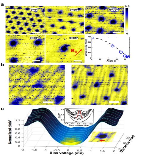 Tilted Vortex Cores And Superconducting Gap Anisotropy In 2h Nbse2 Nanocohybri