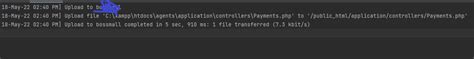 Cpanel Phpstorm Deployment Successful But Does Not Update Remote File