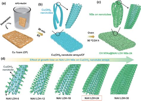 A C Schematic Diagram Illustrating The Preparation Process Of Ch Download Scientific