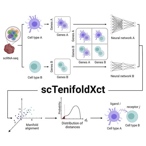 Sctenifoldxct A Semi Supervised Method For Predicting Cell Cell Interactions And Mapping