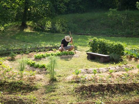Basic Principles Of Permaculture Design Imp World