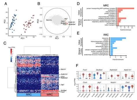 Pci Dss 3 2 Spreadsheet Within Pci Dss 3 2 Requirements Spreadsheet Spreadsheet Collections