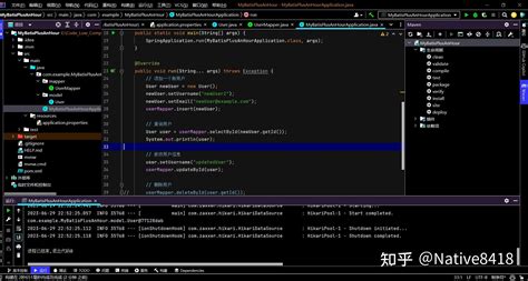 一小时实践入门 mybatis plus 知乎