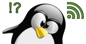 BCM Mint No Wireless No Internet Connection