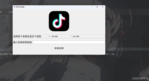 爬虫应用 可视化窗口加爬虫 音频 批量 Tkinter Drissionpagexg Video Container