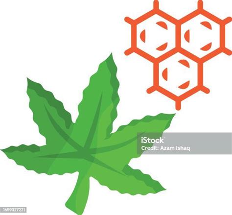 대마 식물 과학 개념 화학 및 물질 벡터 컬러 아이콘 디자인 대마초와 마리화나 기호 Thca 및 Cbda 기호 레크리에이션 허브 약물 스톡 일러스트레이션 0명에 대한 스톡