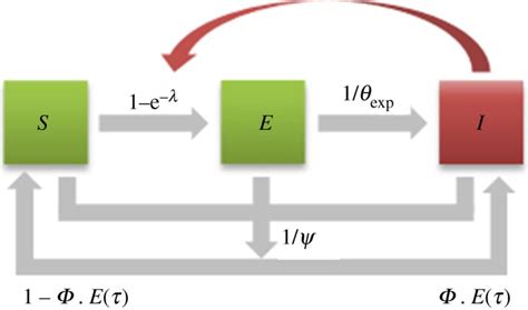 Representation Of The Spatiotemporal Stochastic Simulation Model As A Download Scientific