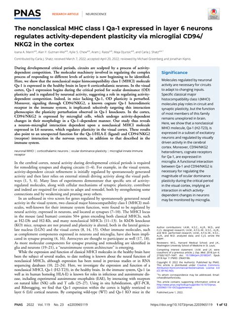 Pdf The Nonclassical Mhc Class I Qa 1 Expressed In Layer 6 Neurons Regulates Activity