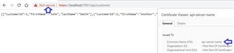 Deploying Full Stack Aspnet Core With Api And Sql Server Databases To