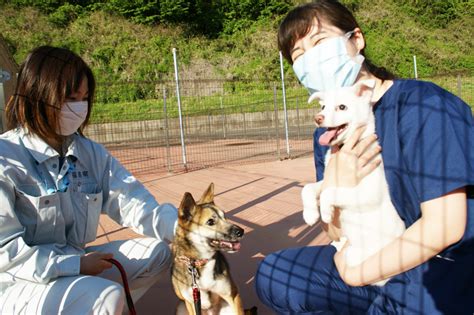 福島県職員募集サイト START獣医師 福島県ホームページ