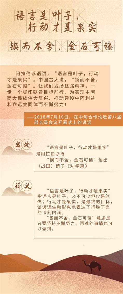 中阿交往中，习近平引用的这些古语谚语意蕴深长海口网