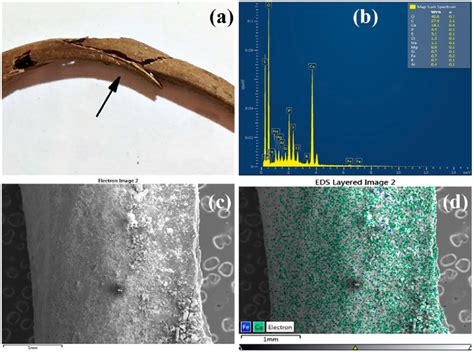 A Photograph Showing The Sampled Area B EDX Spectrum C SEM Base Download Scientific