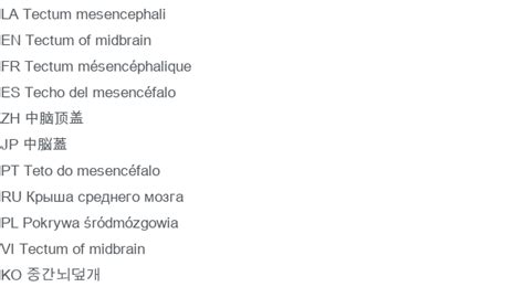 Tectum Of Midbrain Vet Anatomy Imaios