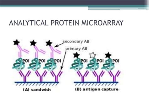 Protein Micro Array Pptx