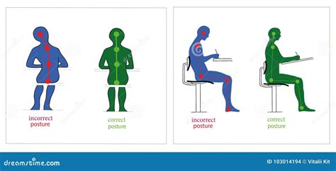 Spine Align Ever Fit Virtaround