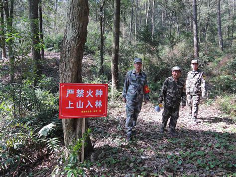 践行林长职责 守护绿水青山 武义千名林长春节巡林不打烊