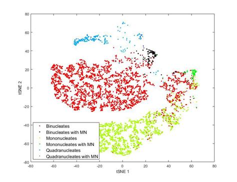 Automating Genotoxicity Assays With Imaging Flow Cytometry And Deep Learning MATLAB Simulink