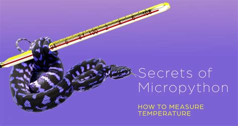 Secrets Of MicroPython How To Measure Temperature