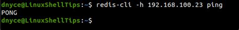 how to install redis on ubuntu 20 04 22 04
