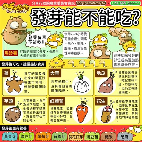 馬鈴薯發芽不能吃