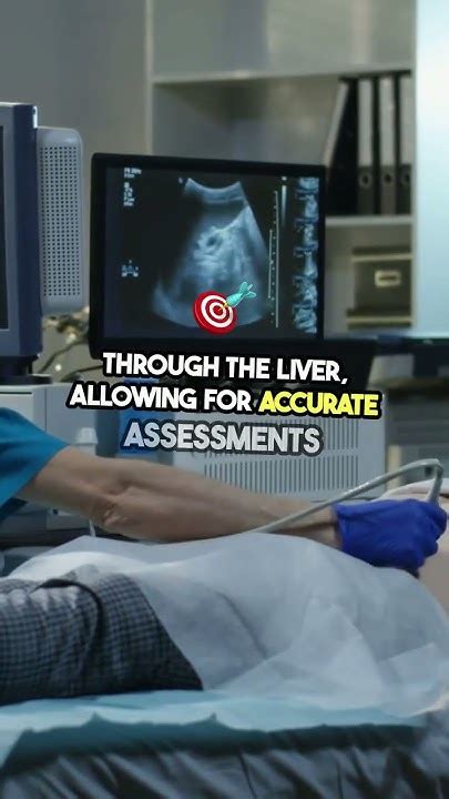 Understanding Elastography Fibroscan Devices And Beyond Youtube