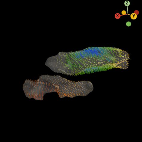 2morphogenesis Vector Fields And Trajectories Spateo Documentation