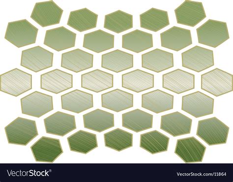 Turtle Shell Royalty Free Vector Image VectorStock