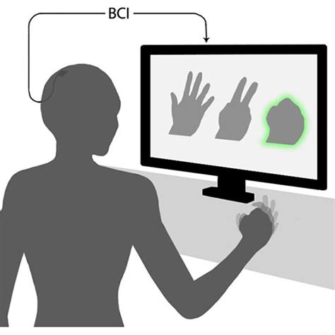 Experimental Paradigms For Decoding Of Movements From Ecog A An