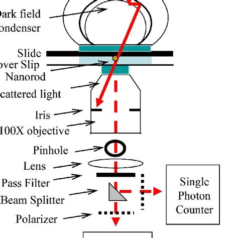 Polarizer Rotation Measurements Prm To Determine Rotational Position Download Scientific