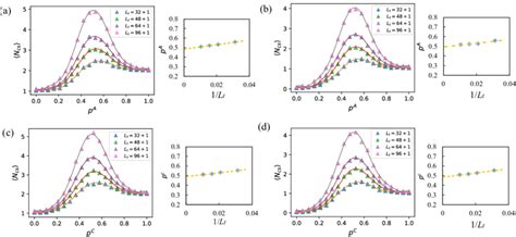 Phase Transition Behaviors Of Ncs For Various System Sizes The Solid