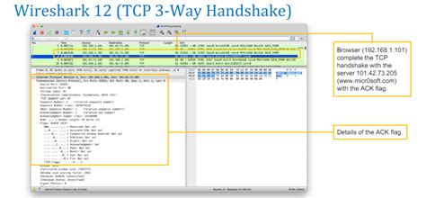 Wireshark TCP Way Handshake Junior CyberSecurity Olympiad