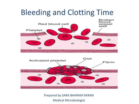 Ppt Bleeding And Clotting Time Powerpoint Presentation Free Download