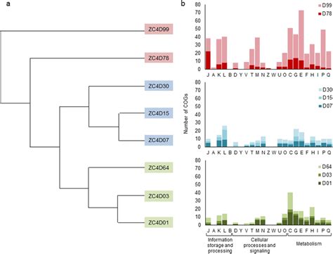 Functional Profile Of The Metatranscriptomes Based On Cog Categories
