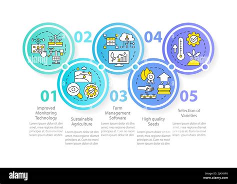 Increasing Agribusiness Productivity Circle Infographic Template Stock Vector Image And Art Alamy