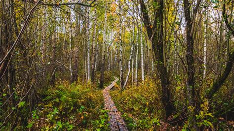 implementing re usable custom locators for rf seleniumlibrary by toni