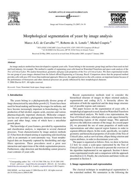 Pdf Morphological Segmentation Of Yeast By Image Analysis Dokumentips