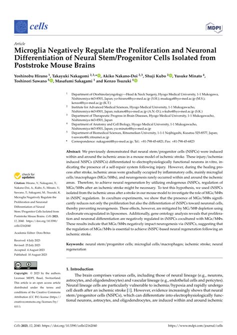 Pdf Microglia Negatively Regulate The Proliferation And Neuronal Differentiation Of Neural