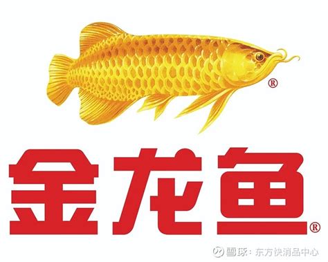 金品公司百威成为奥运会资格系列赛本地高级合作伙伴共启全民派对点燃体育激情 快消品讯近日世界知名啤酒品牌百威与奥运会资格系列赛