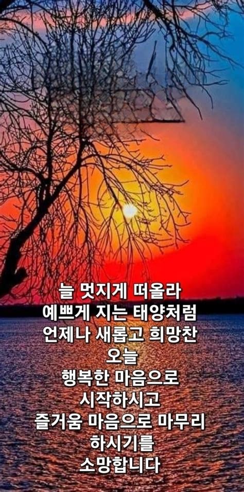 Daum