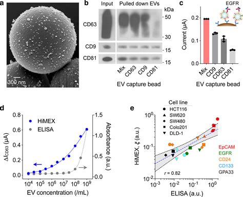A High Throughput Magneto Electrochemical Array For The Integrated Isolation And Profiling Of