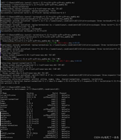 使用虚拟环境安装gpu版本pytorch成功记录 win11 虚拟机装torch csdn博客