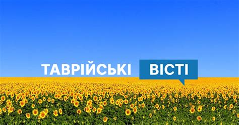 Громадська Палата України Public Chamber Of Ukraine Журналисты опубликовали подробности