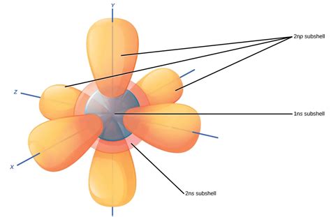 21 Atoms Isotopes Ions And Molecules The Building Blocks Human