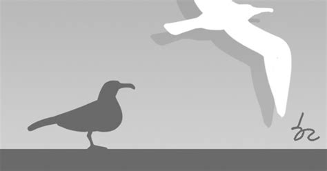 [겨자씨] 갈매기의 꿈